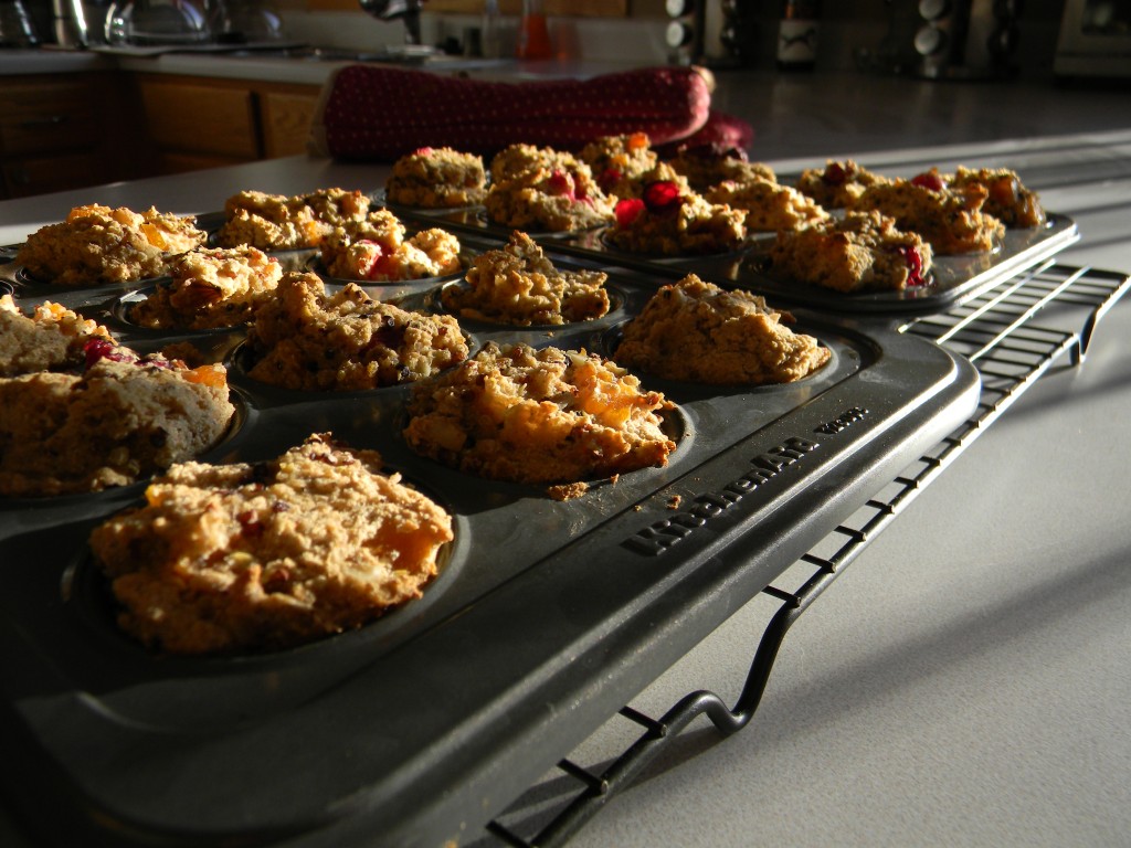 Badger Girl Learns to Cook by Kimberly Aime – Vegan Quinoa Muffins