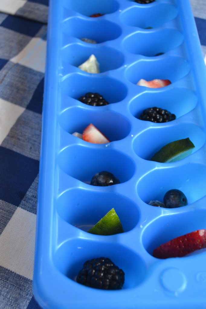 Badger Girl Learns to Cook by Kimberly Aime – Berry Lemonade Ice Cubes